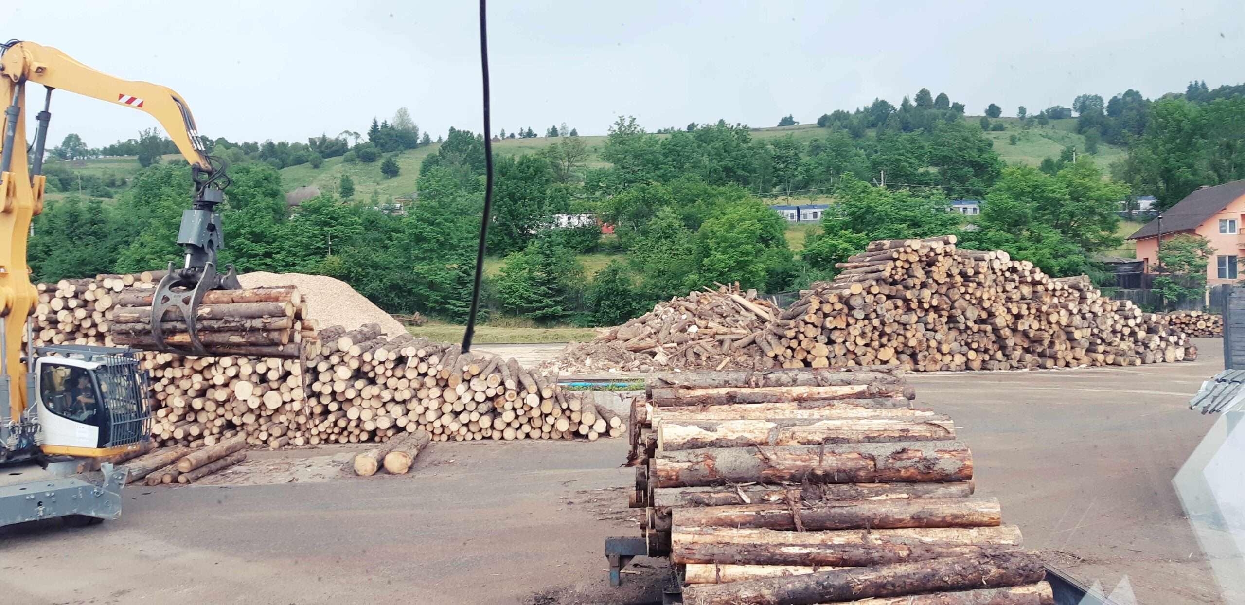 Exploatarea lemnului în România în anul 2023 - analize și tendințe ...