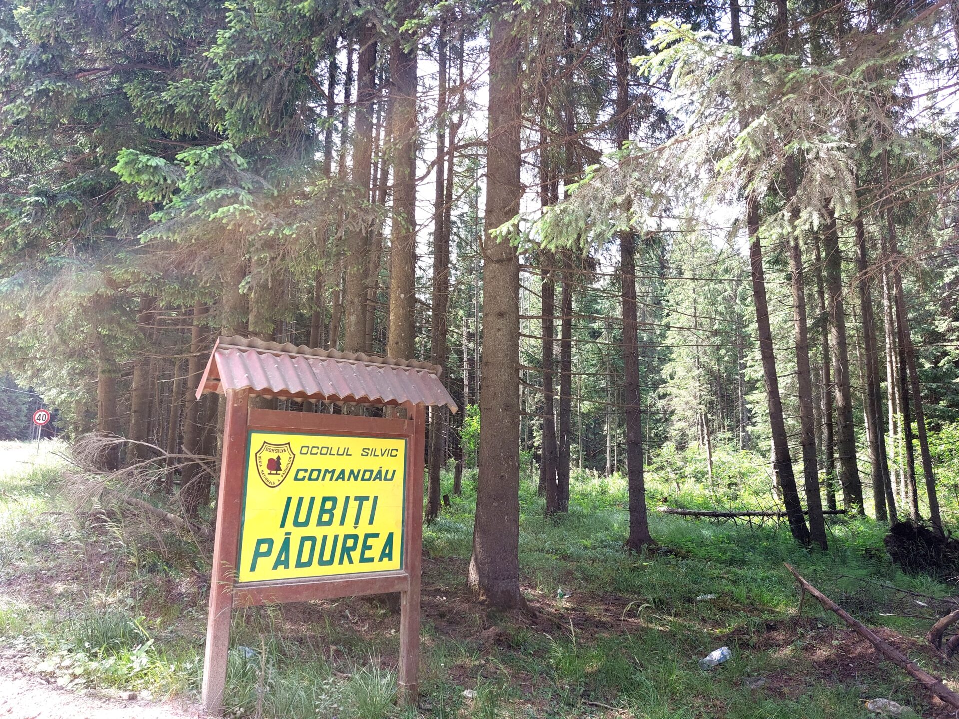 Planul înclinat din Covasna-Comandău, un simbol al exploatării ...