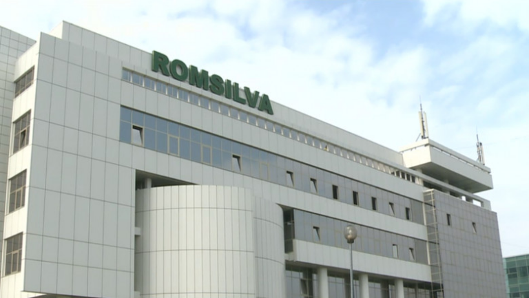 Romsilva: Cum ar arăta harta noii structuri cu 12 direcții silvice ...
