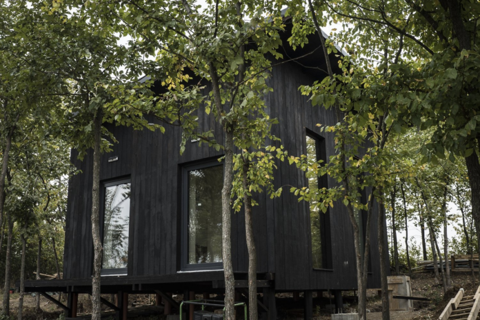 Biobuilds: Eficiență, sustenabilitate și confort sub același acoperiș ...